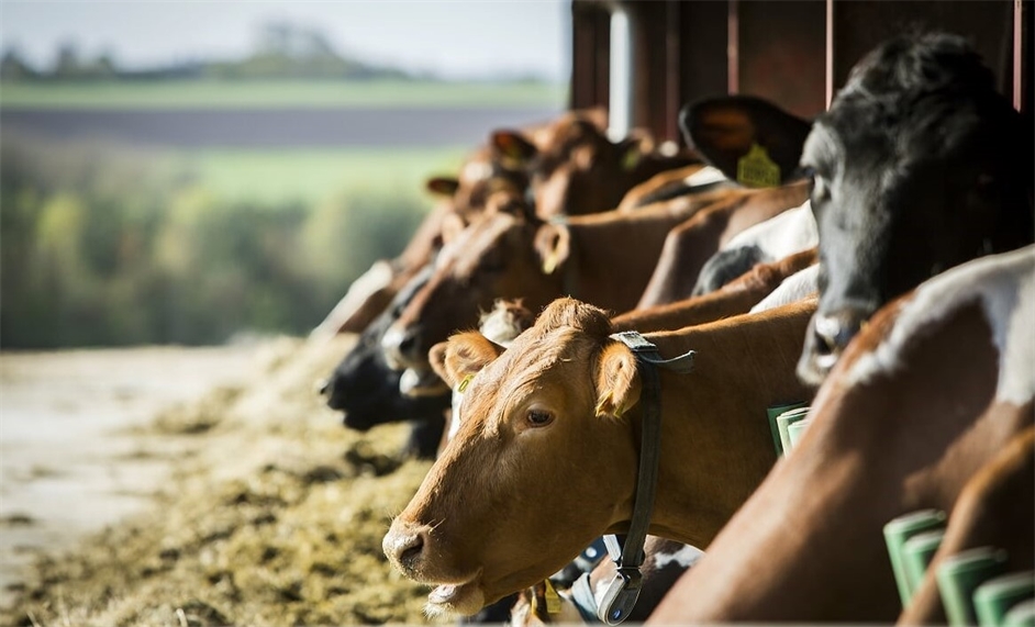 Svenska bönder bland de mest klimatsmarta i världen » ostgotatidningen.se